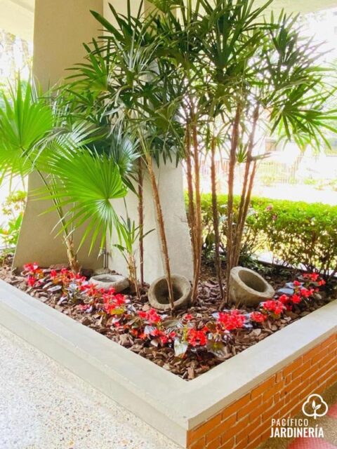 SERVICIOS DE JARDINERIA en Pereira y Risaralda